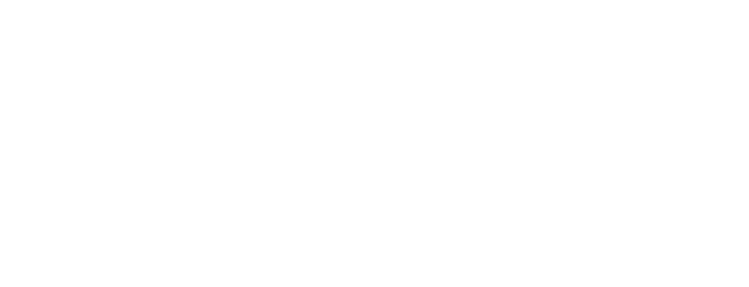 Ownership Leader